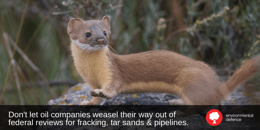 Oil and gas is trying to weasel its way out of playing by the rules ...