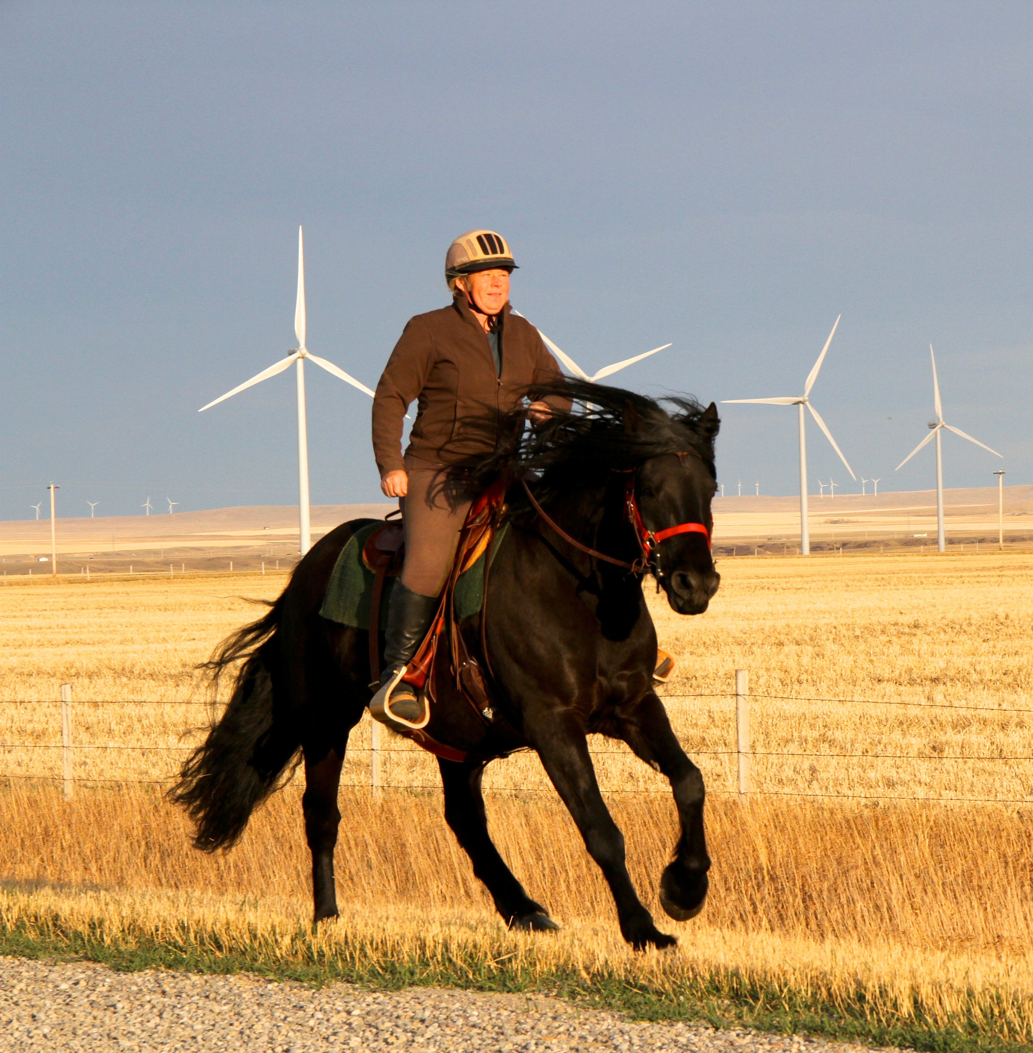 The journey to a climate-safe future needs a proper roadmap ...