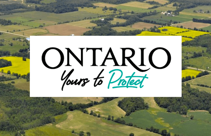 The Inside Scoop: What’s been happening at Environmental Defence ...