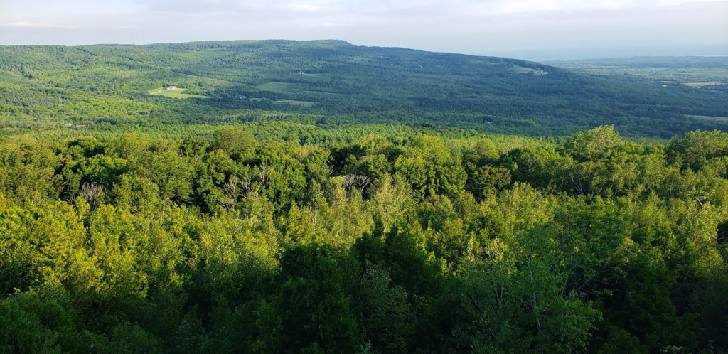 A Billion Dollar Development Threatens the Niagara Escarpment – One of ...