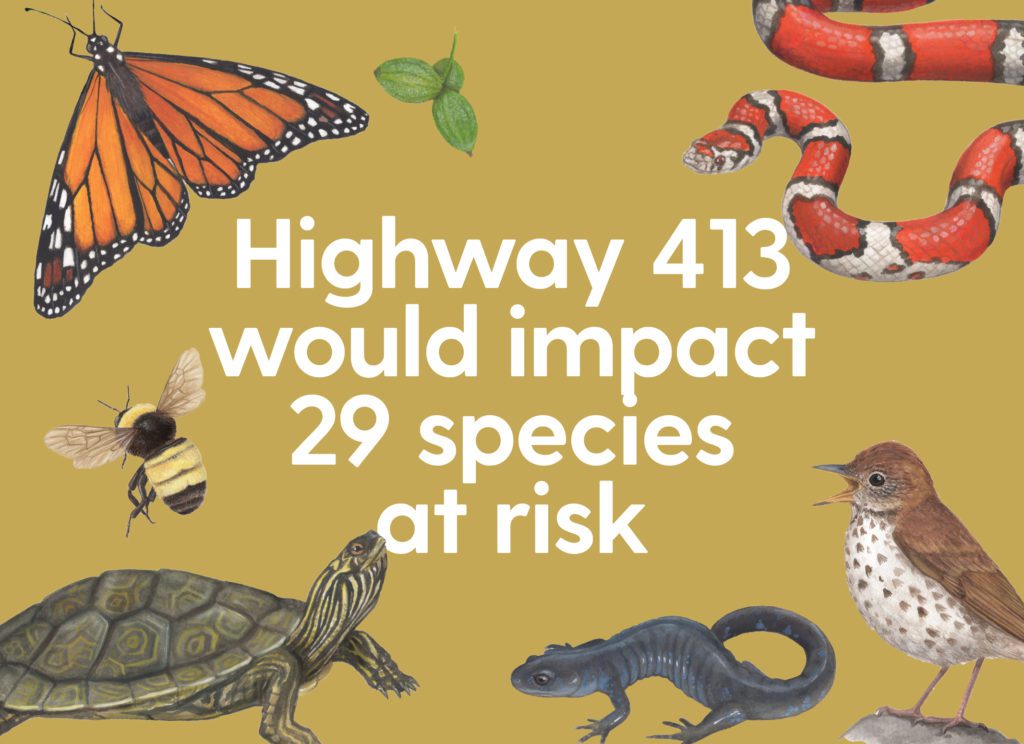 HIGHWAY 413: The Road to our Ruin - Environmental Defence