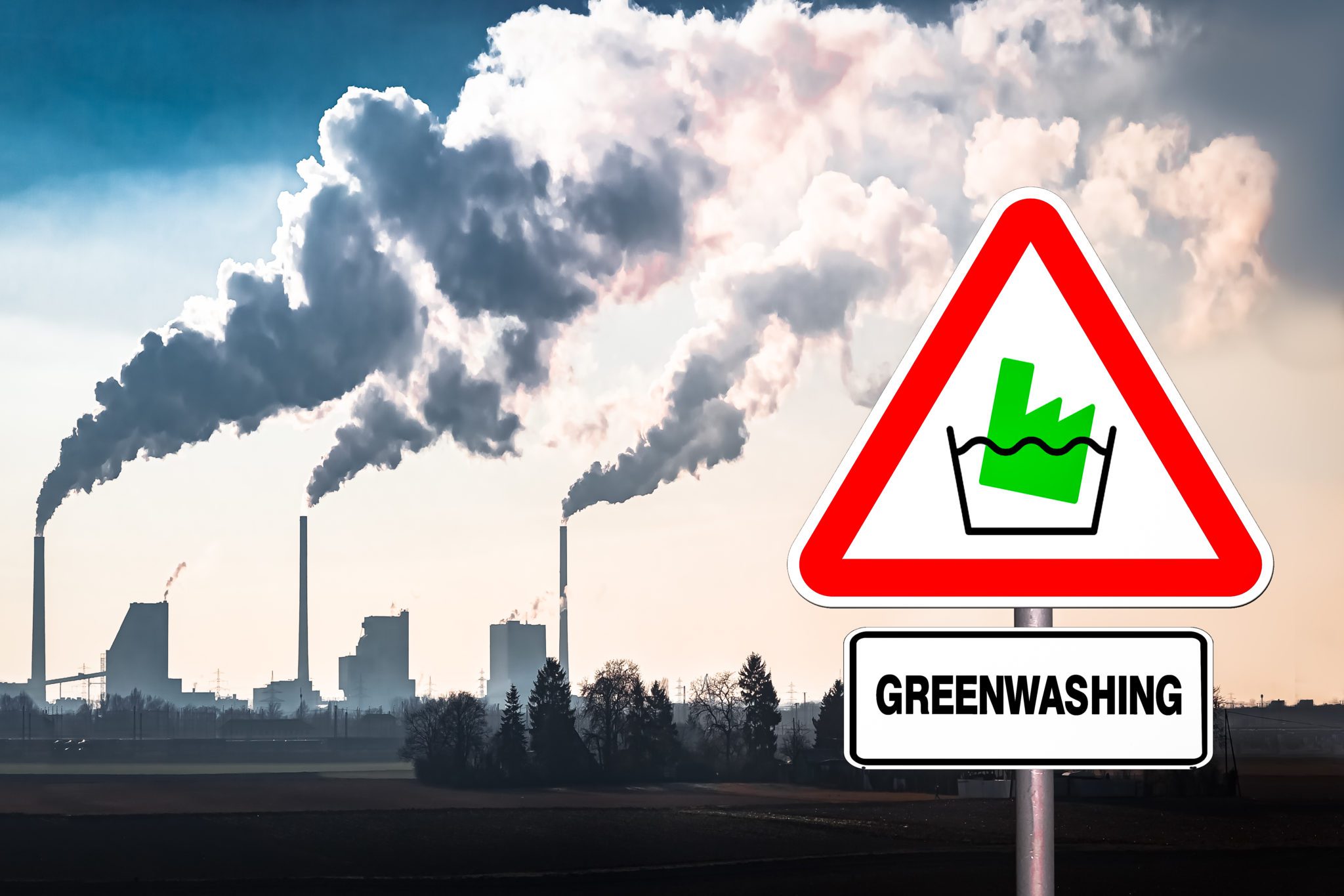 Climate Action or Greenwashing: How to look past the fluff in “Net-zero ...