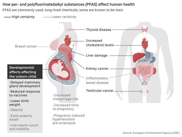 The toxic reality of PFAS "forever chemicals" contamination in Canada ...