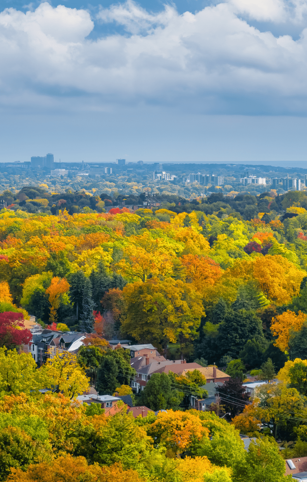 The Big Sprawl Explained - Environmental Defence
