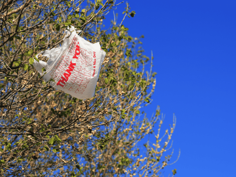 There is still hope for a global plastics treaty — and Canada can help ...