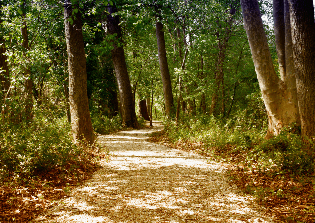 What’s in Store for 2024? Here Are Our 10 Environmental Predictions for ...