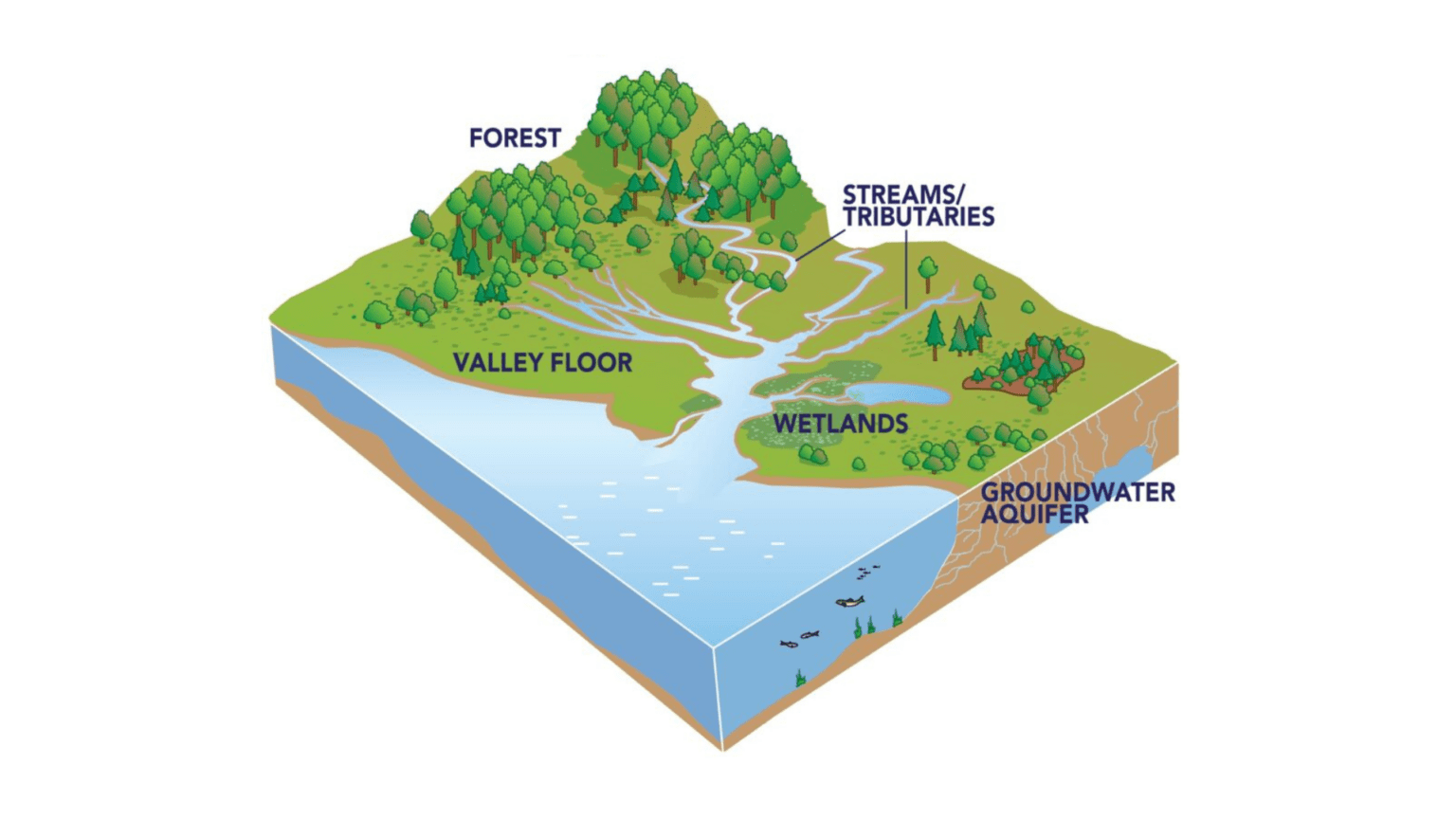 Hands off the Humber River! - Environmental Defence